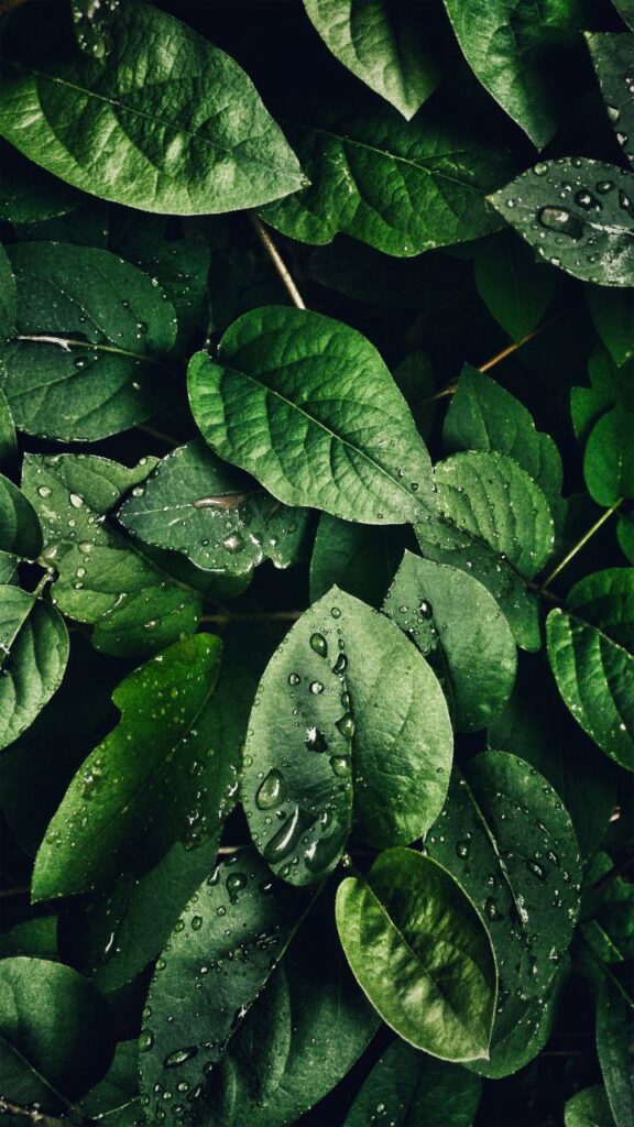 Heyrətamiz Samsung ekran şəkilləri - Baku Time