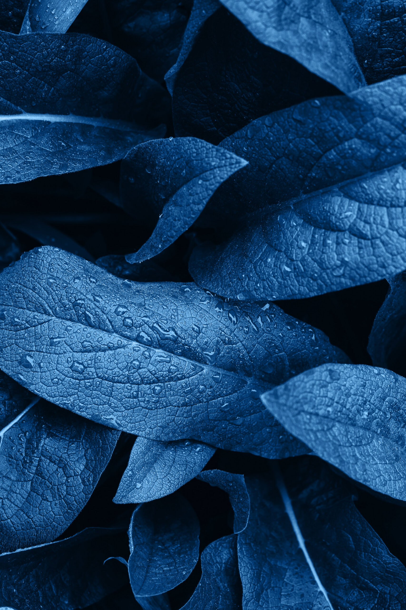 10 İnanılmaz Telefon Üçün Ekran Şəkilləri - Baku Time